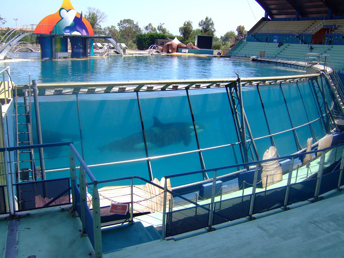 Dive into Marineland with HSE Platform