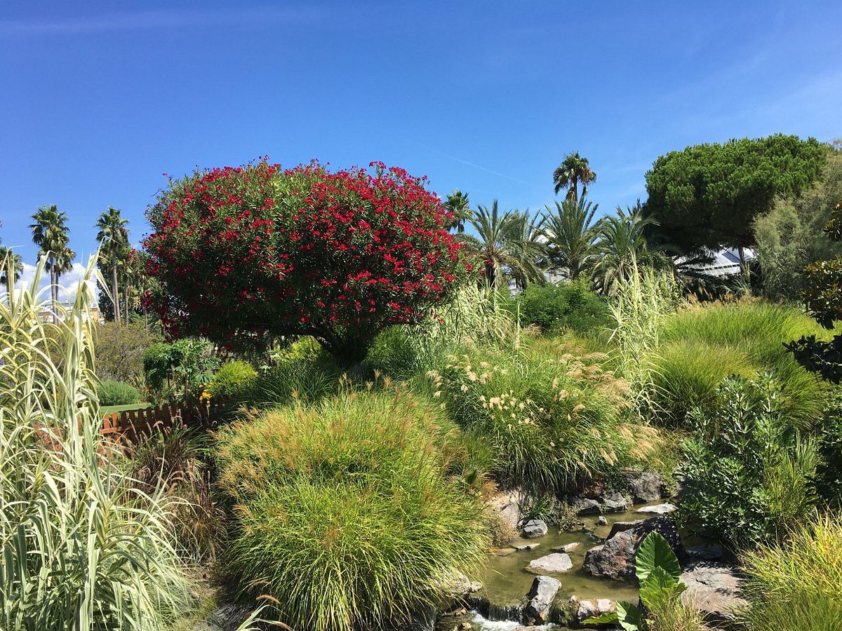 Explore Phoenix Parc Floral de Nice with HSE Platform