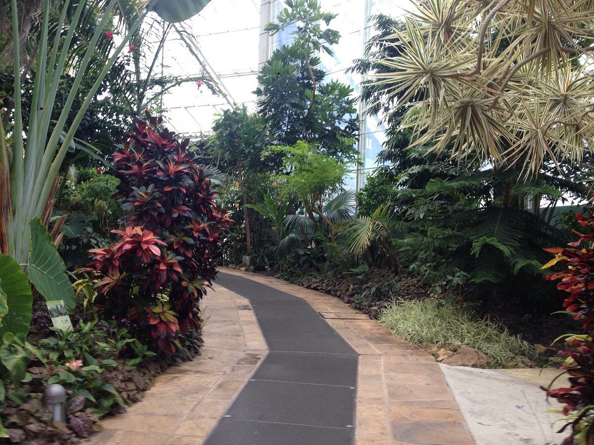 Explore Phoenix Parc Floral de Nice with HSE Platform