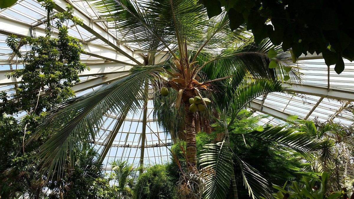 Explore Phoenix Parc Floral de Nice with HSE Platform